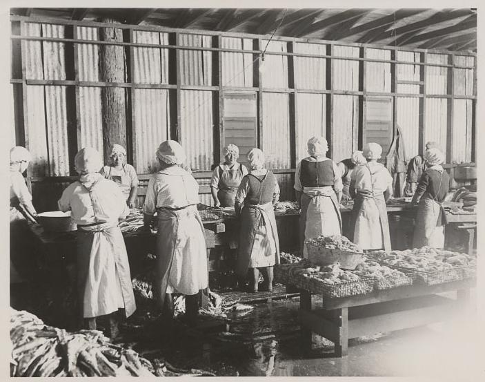 Stories Inside the Can