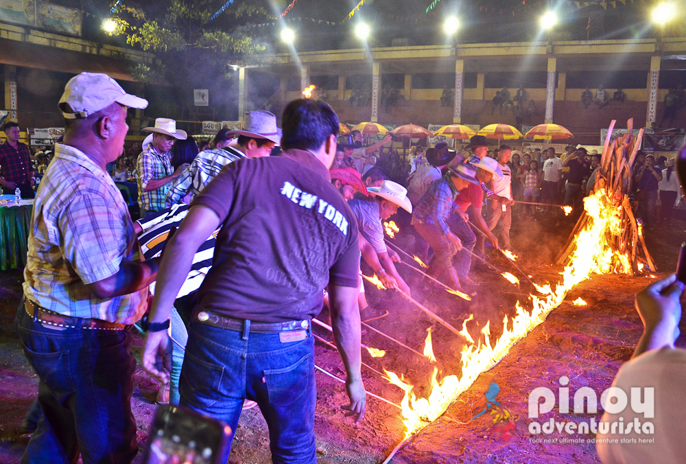 RODEO FESTIVAL Experience in Masbate City | Blogs, Travel Guides ...