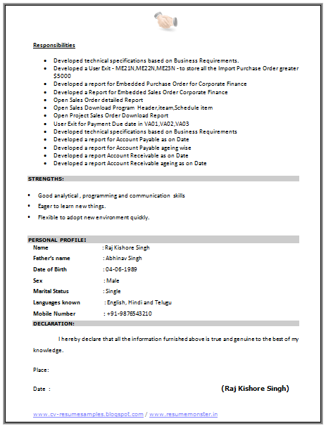 Resume Declaration Format ~ 4DOUBUTSU