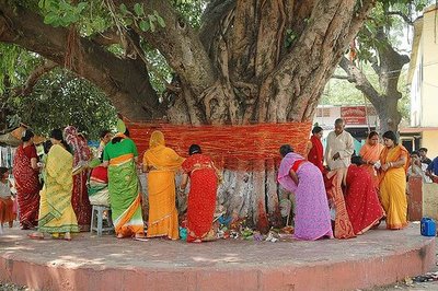 I am a free spirit and Lover of INDIA: Tree worship