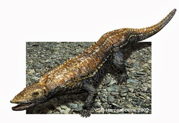 O Livro da Natureza: Stagonolepis