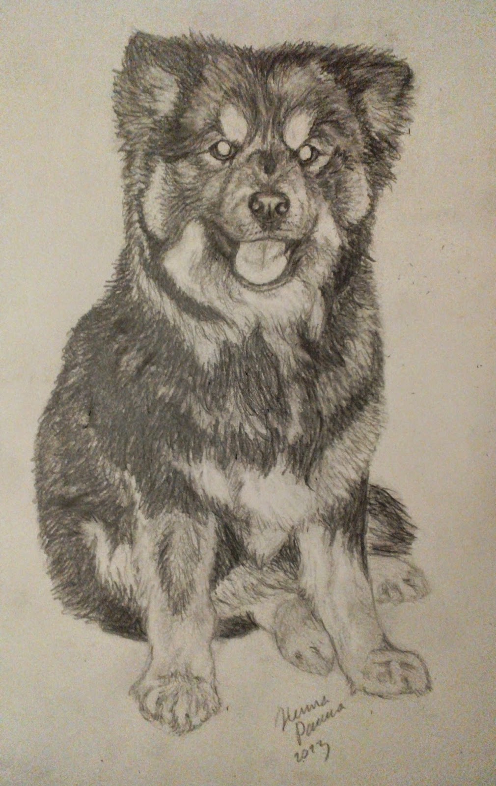 Capture: Muutama lyijykynällä piirretty koira :)