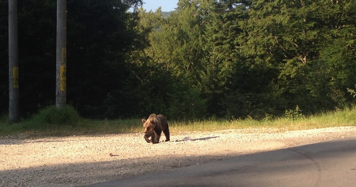 Calator prin lume - Peisaje calatorie - Frumusetile naturii