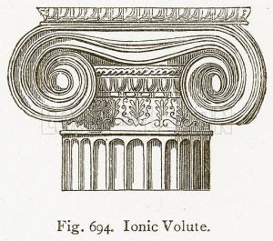 French Vocabulary Illustrated: volute