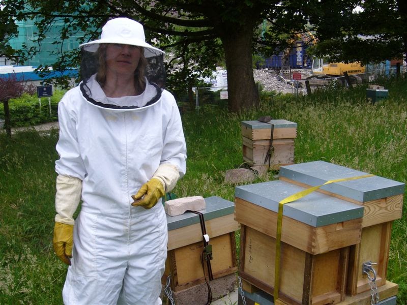 Union Gallery: The Bee Hunter