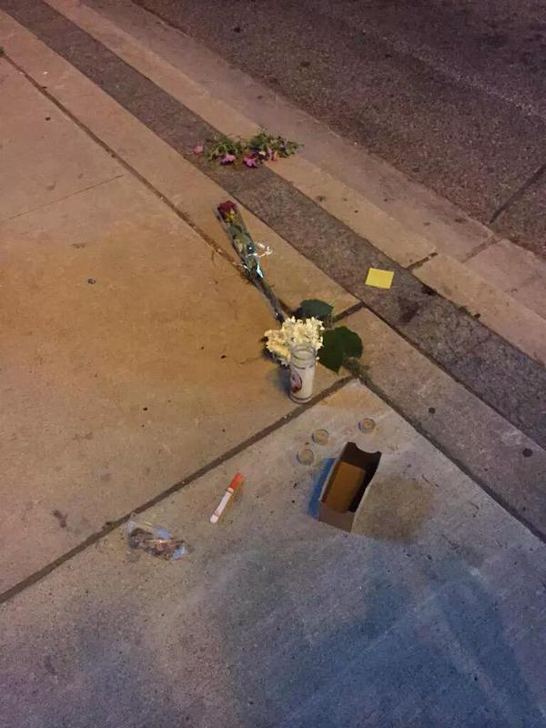 Rinden en Toronto, homenaje a mapache muerto. - Mundo Feliz