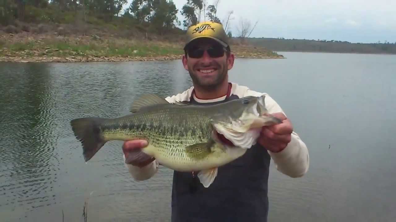 O melhor Alentejo do Mundo: Achigã