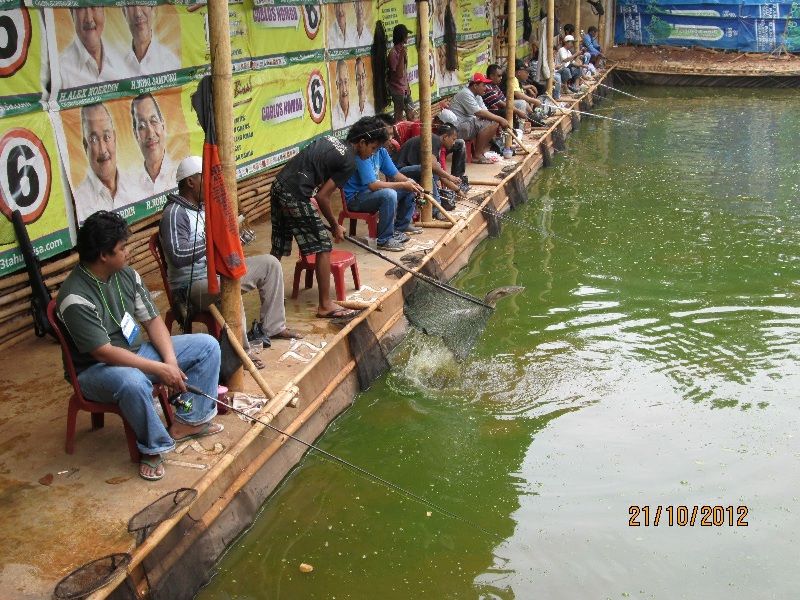 Umpan Jitu Mancing Ikan Lele Harian Paling Ampuh Sekarang Ini Umpan Jitu Mancing Ikan Lele Harian Paling Ampuh Sekarang Ini