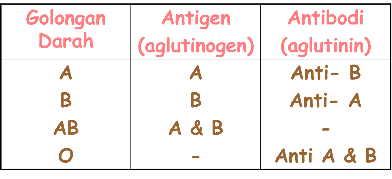 Sistem Penggolongan Darah dan Rhesus serta Transfusi Darah - Belajar Kuyy