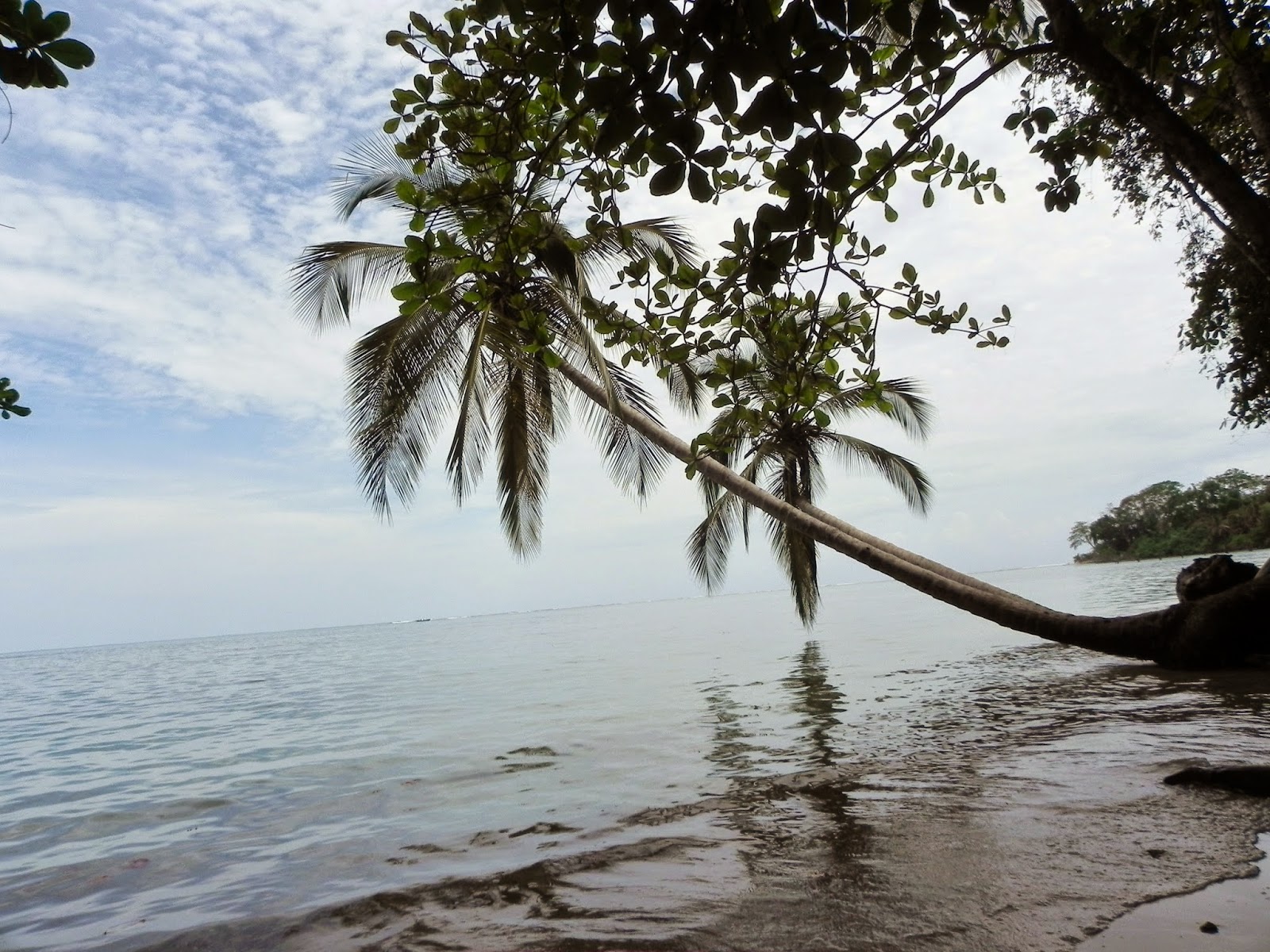 CAHUITA | Mis viajes