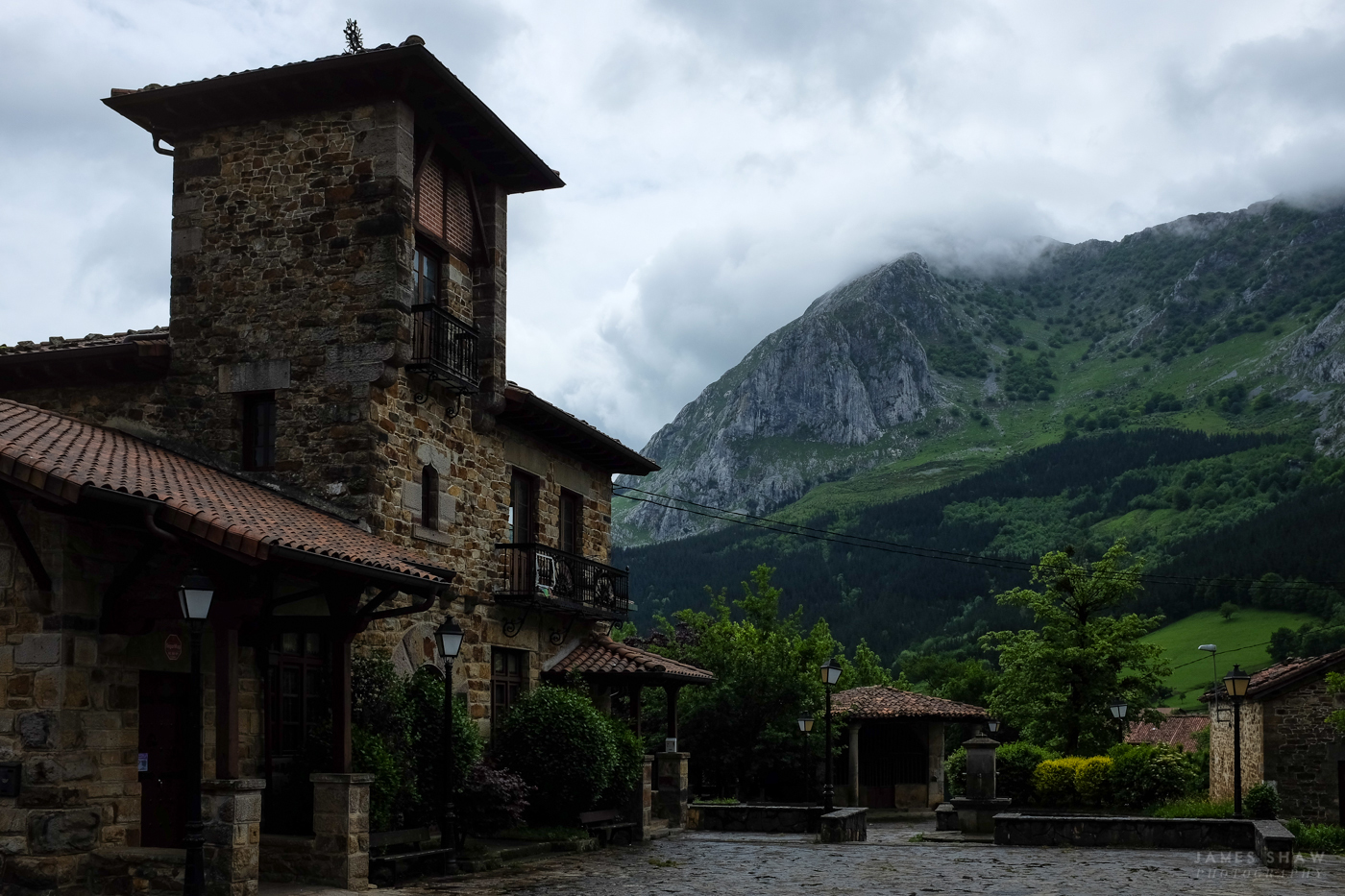 Elephant in Tiger Skin: The Thomas Monk Affair