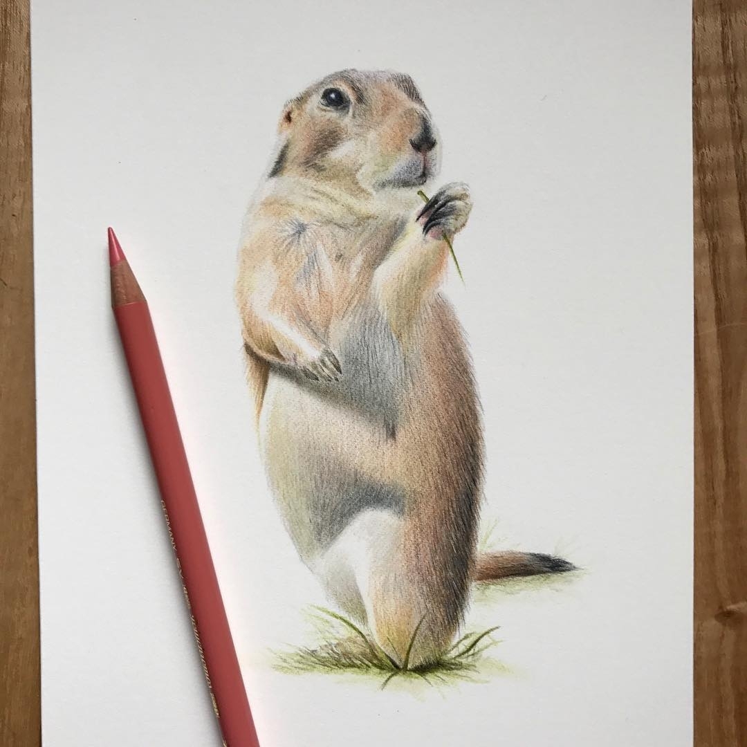 Design Stack: A Blog about Art, Design and Architecture: Wildlife and ...