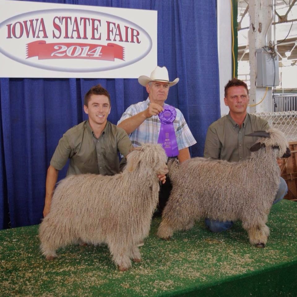 Northern California Angora Guild: Randy and Allen Wins Big at the ...