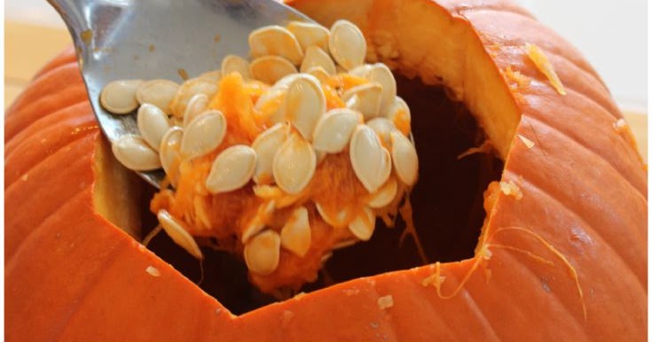 Exploring Pumpkins: Fall Activity for Preschoolers | Sunny Day Family