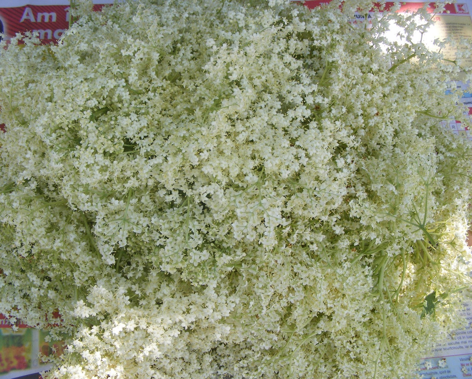 Socul | Preparatedevis.ro