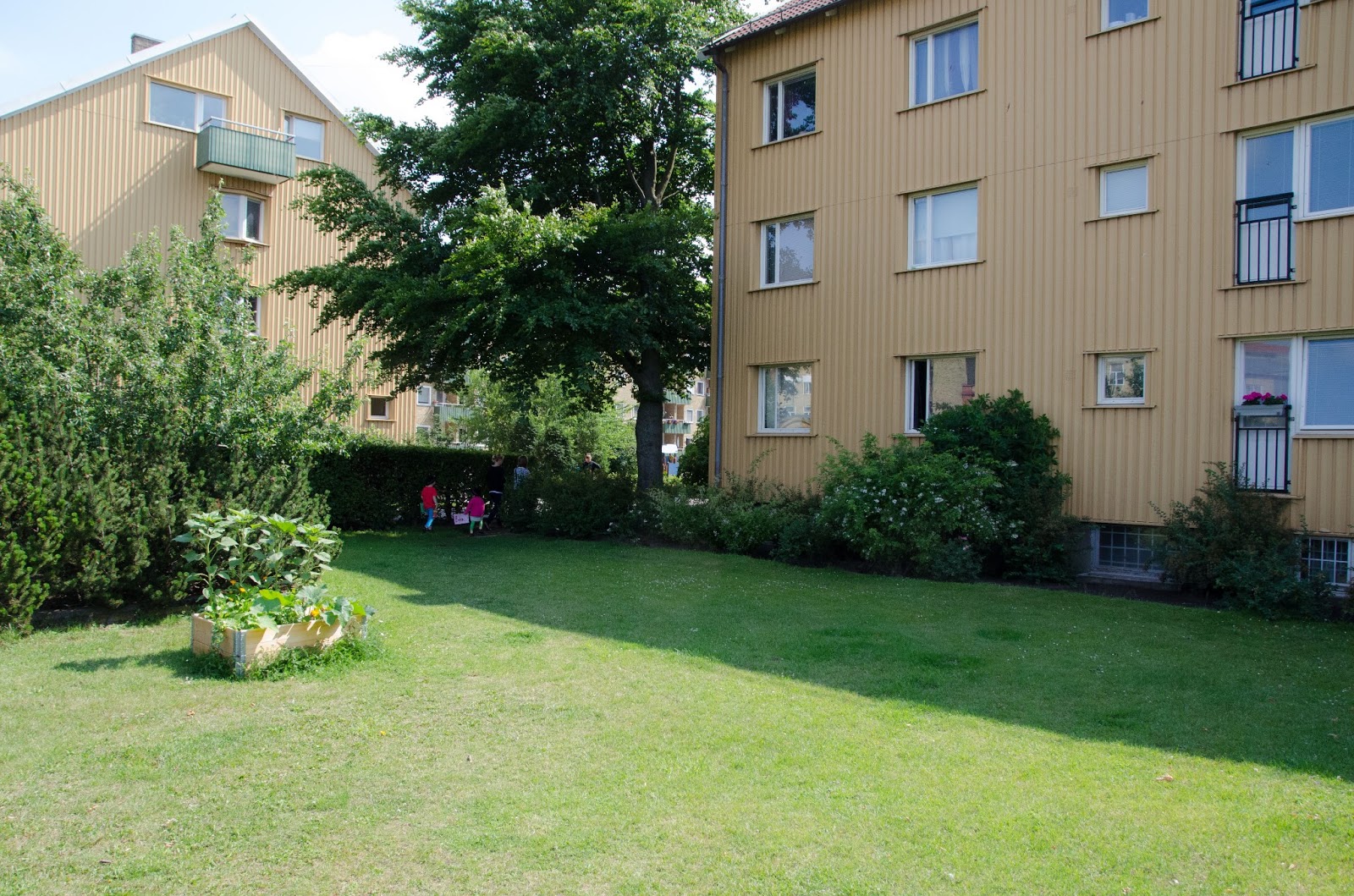 Farbror Grön: Odlingsnätverket Seved