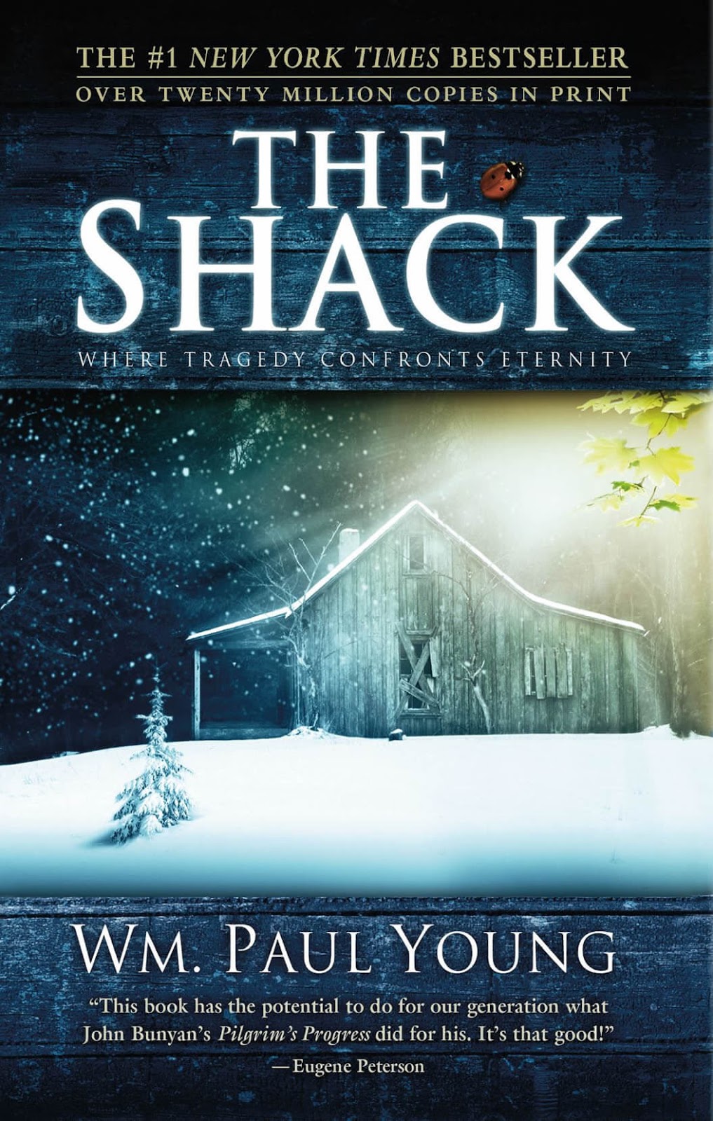 This is what Sed said: The Shack