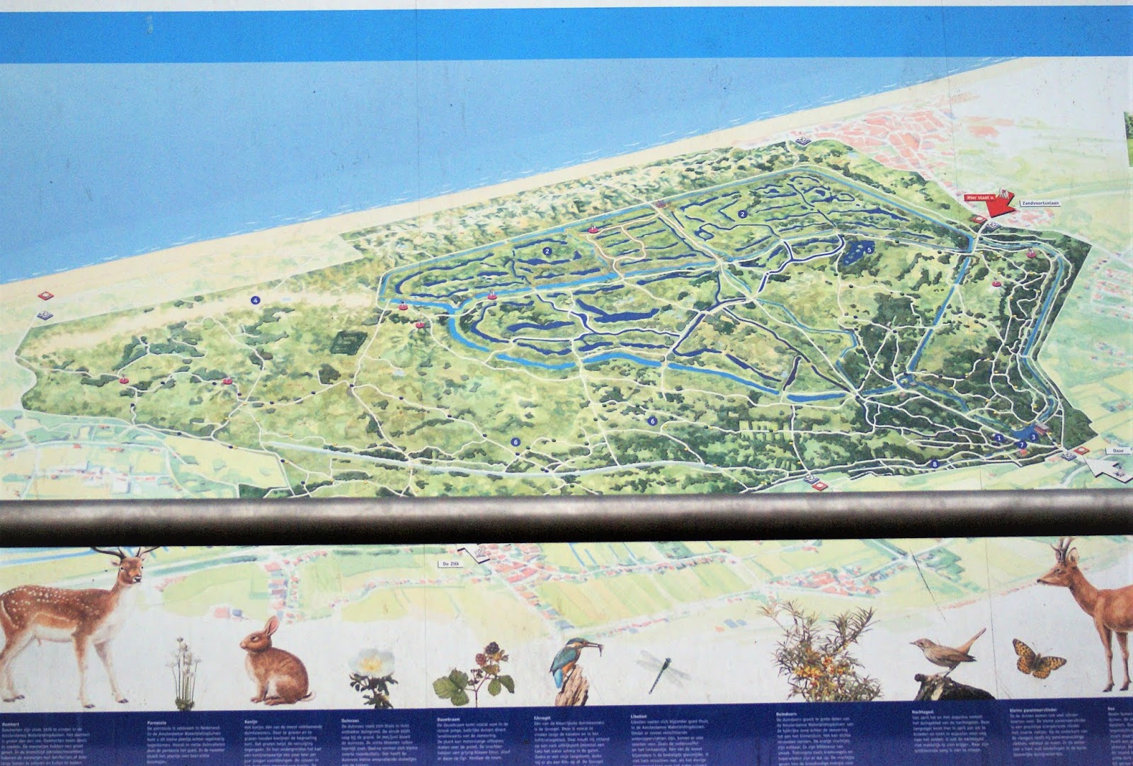 AMSTERDAMSE WATERLEIDINGDUINEN AWD: AWD Plattegrond