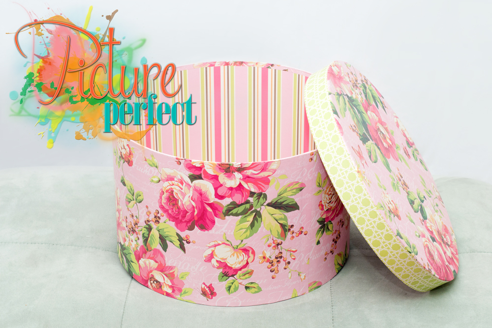 Picture Perfect: Hat Boxes for Newborn & Baby Photography