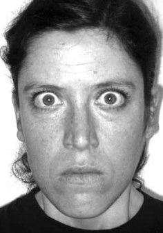 Nonverbal World - The World Without Words: Reading Body Language ...