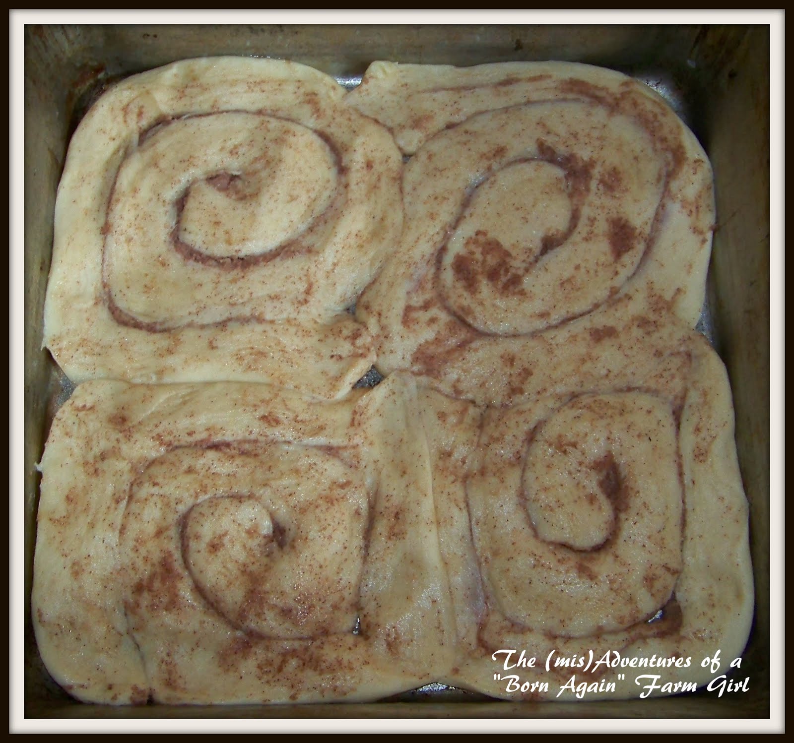 The best dang cinnamon rolls EVER - The (mis)Adventures of a ...