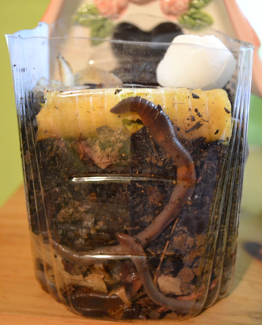 From The Hive: Ww worm day- preschool style