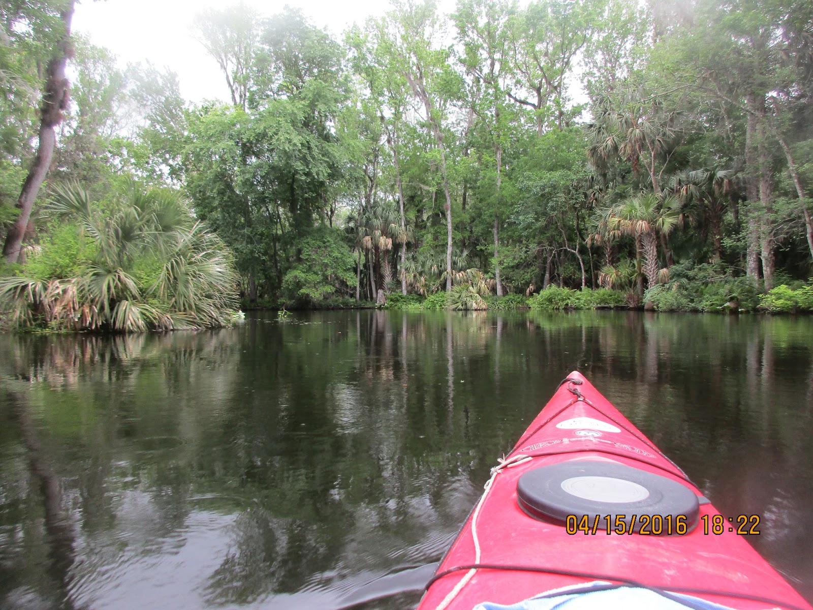 Dave's Yak Tales: Wekiva River