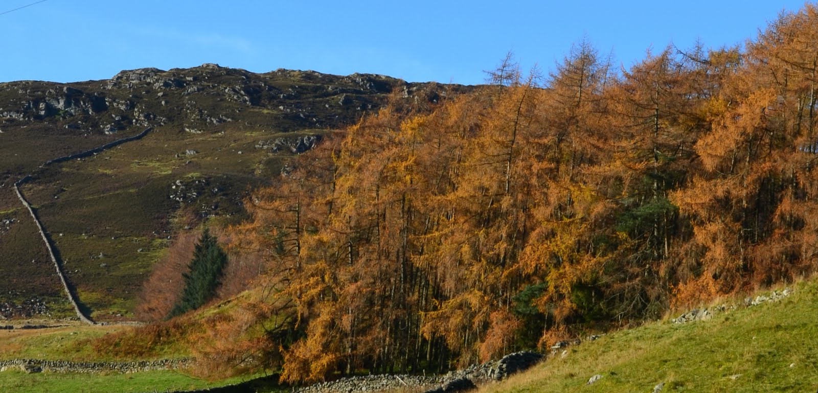 Tour Scotland: Tour Scotland Autumn Photographs Trees Scottish ...