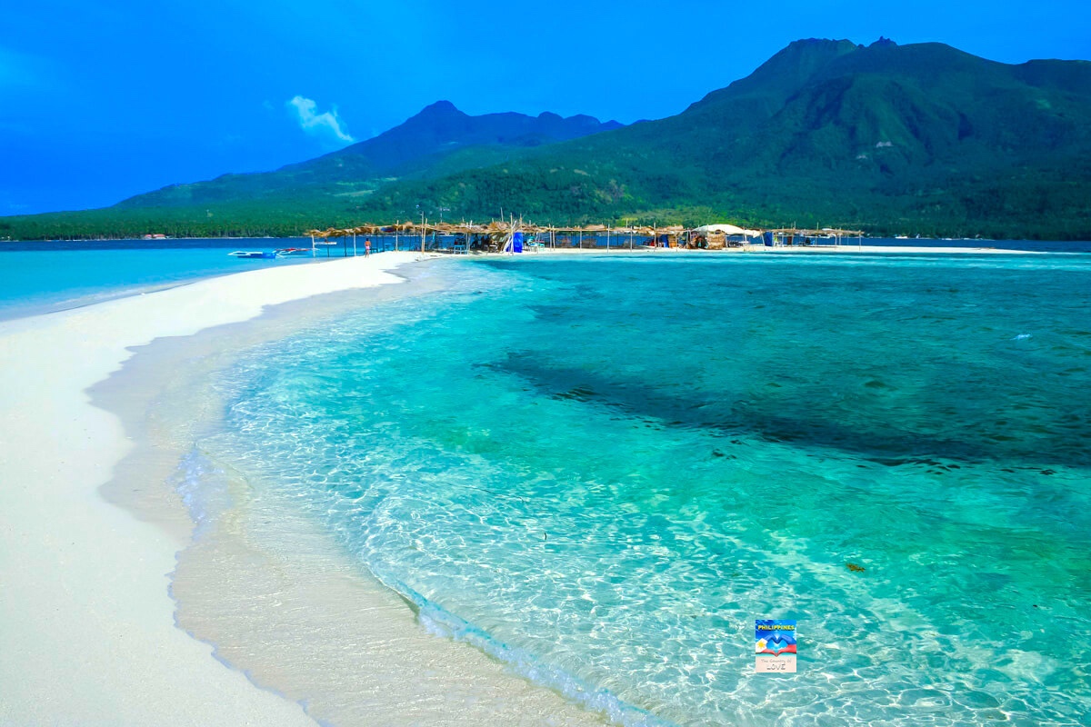 WORLD'S SWEETEST MANGO AND SWEETEST FRUIT - PHILIPPINE CARABAO MANGO