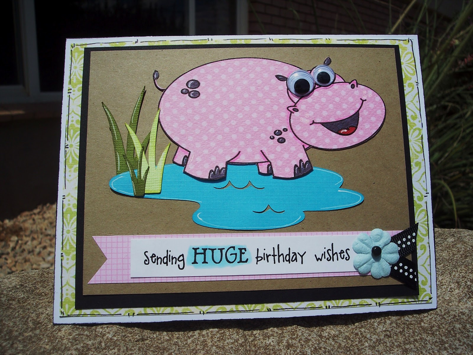 This Thing Called Life!: A Parade of Hippos and a crazy week!