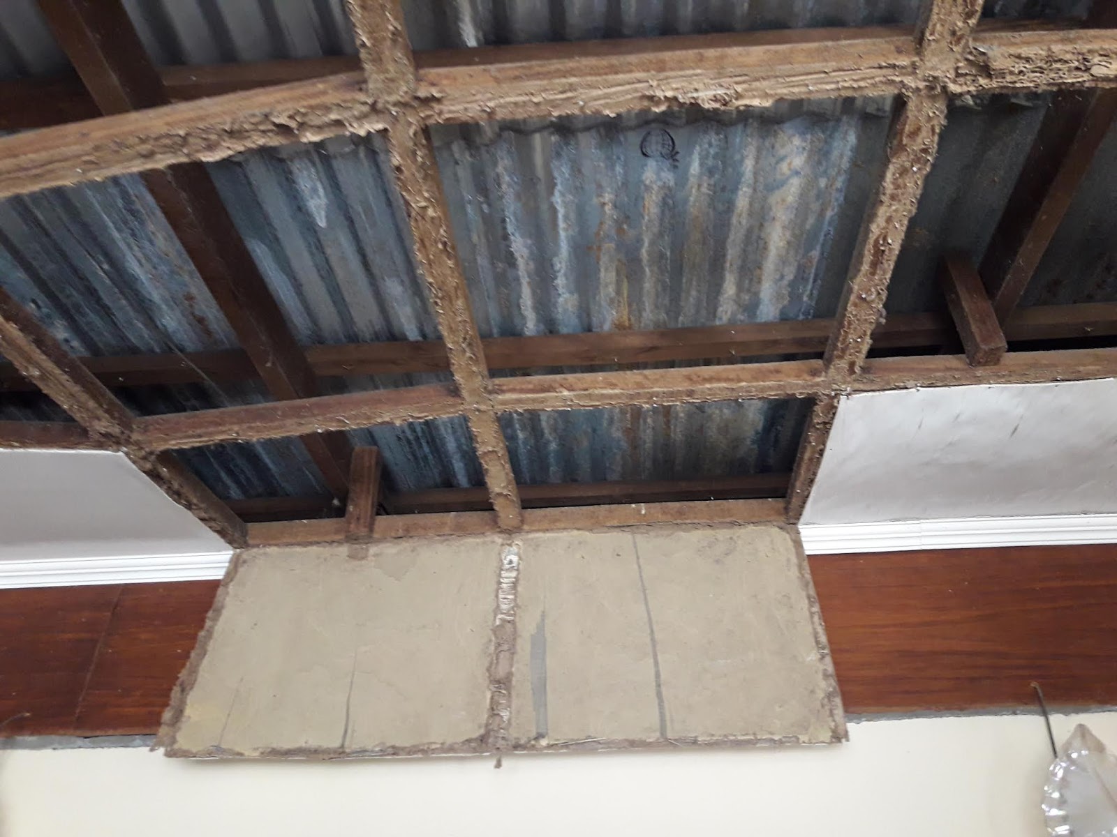 Anay Termites Control Service in Bulacan, Pampanga, Nueva Ecija.