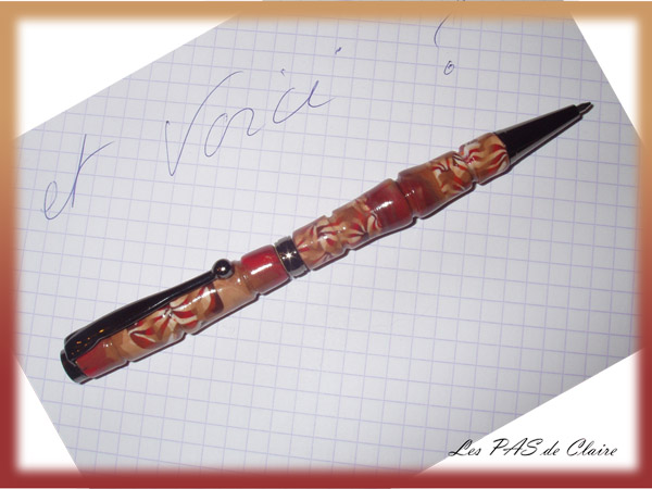 Bienvenue sur Les PAS de Claire: un aperçu des premiers stylos.
