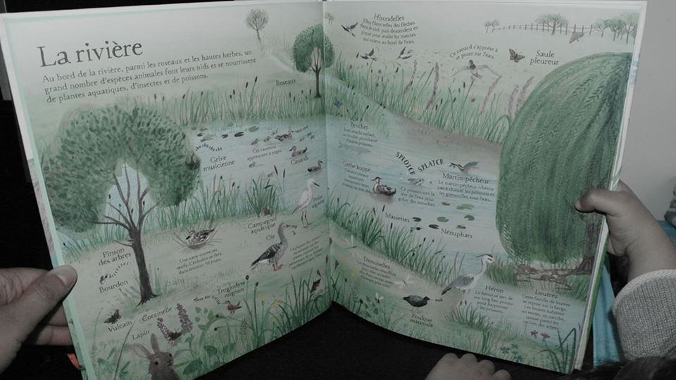 Mams De Deux Bambinos: Chut les enfants lisent : La nature et Le jardin ...