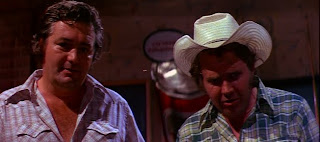 Cool Ass Cinema: Johnny Firecloud (1975) review