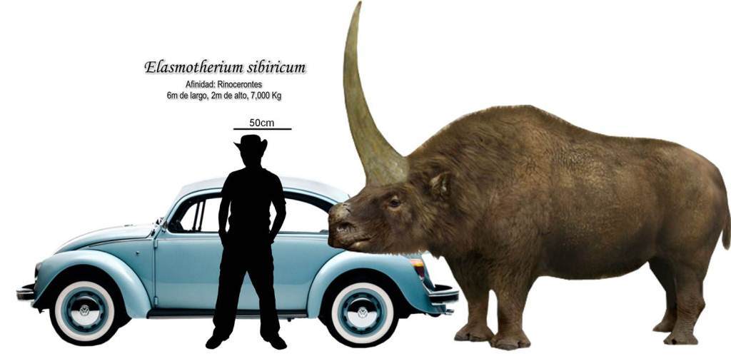 Palaeos, la historia de la Vida en la Tierra: noviembre 2011