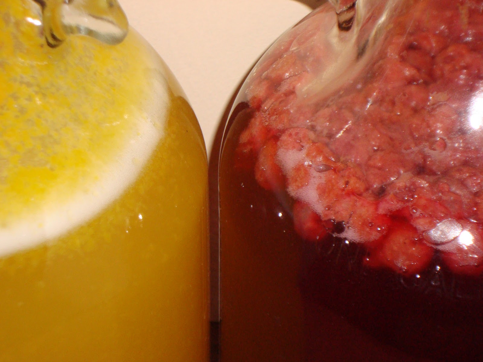 Watts Cooking: Homemade Wine - 1 gallon recipes