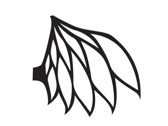 dragon wing template printable