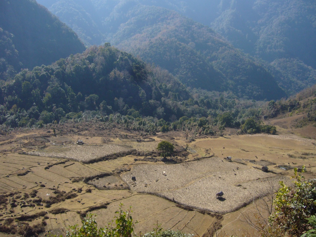 MY VILLAGE KHALING EVACUATED BY YOUTHS.