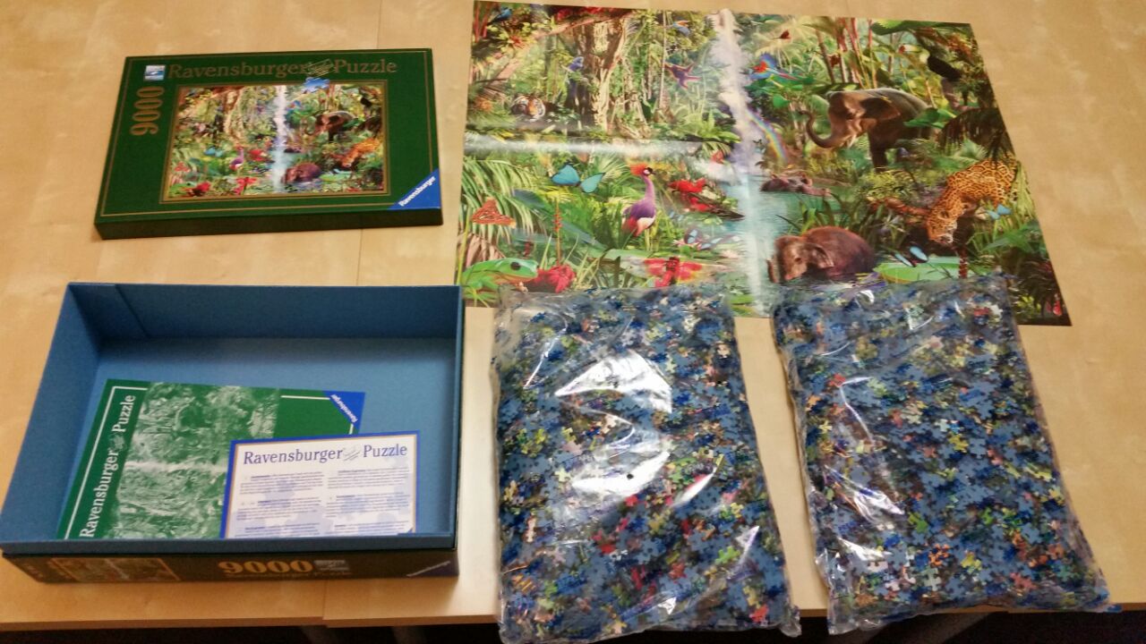 Let the fun begin: Next challenge 9000 pieces puzzle