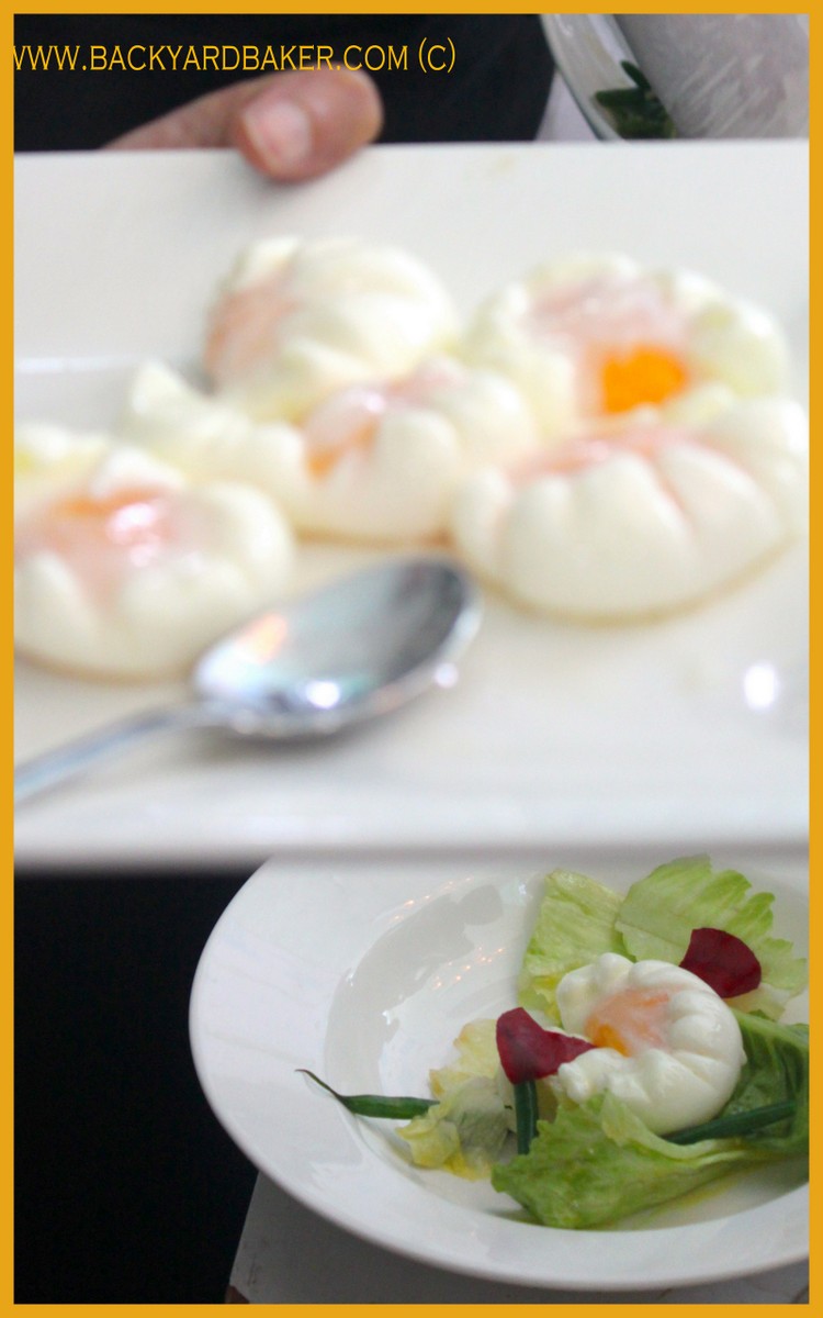 Cooking in Style with Chef Saby | Blogger Workshop with Blogadda