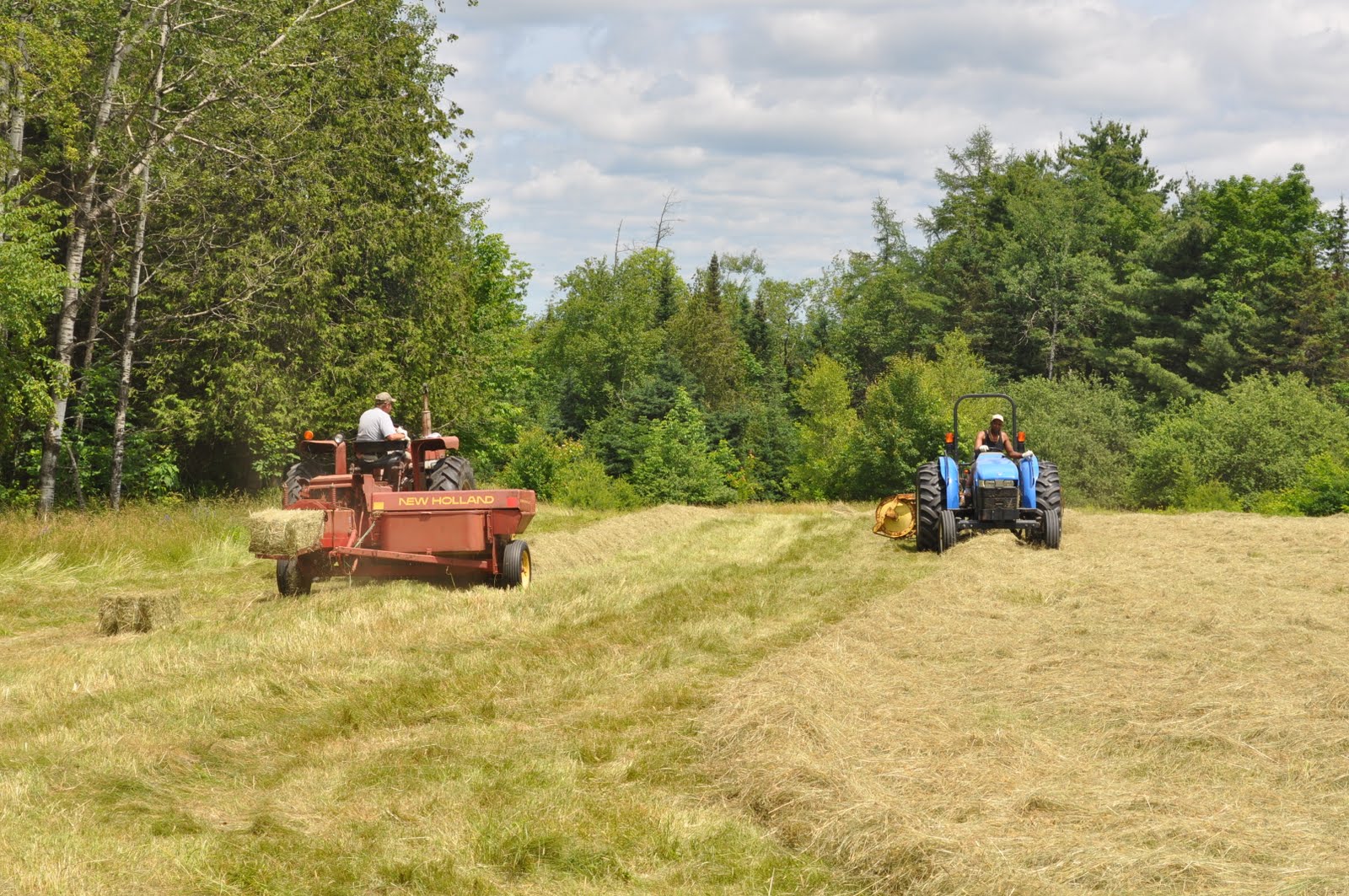 Mainely Ewes Farm: Oh No! Another Hay Post