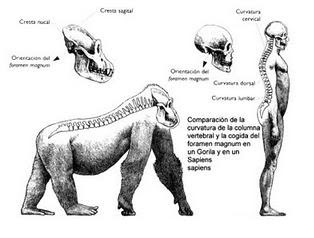 la filosofia de miranda