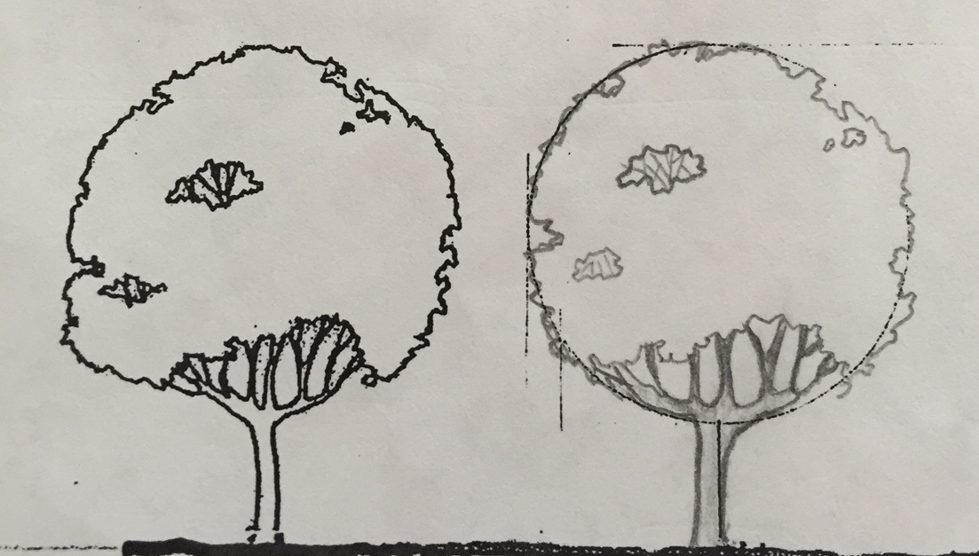 The Art of Architecture