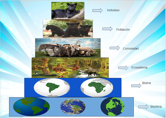 Dinámica ecológica