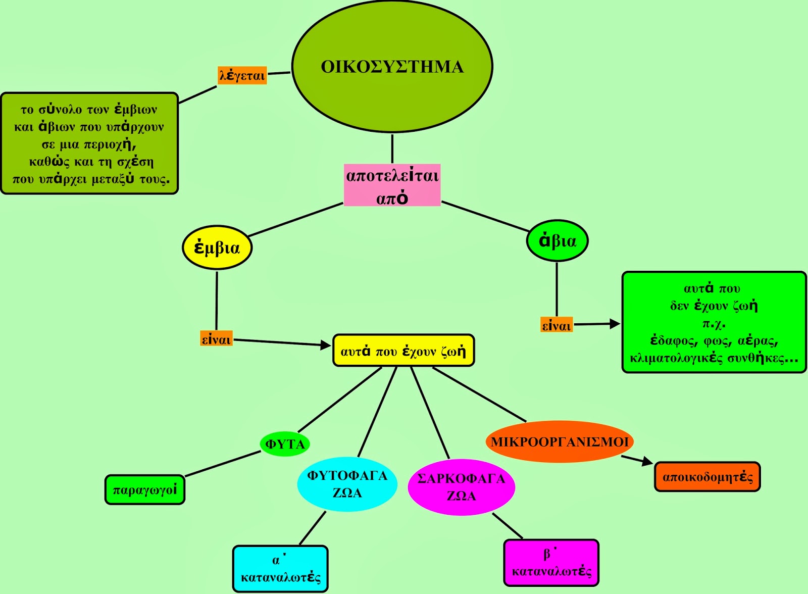 "Τα φιλαράκια": ΟΙΚΟΣΥΣΤΗΜΑ