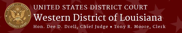 Independence of Representation in Court and Judicial Accountability in ...