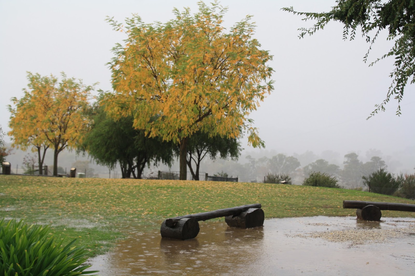 RDO Melbourne: Avenel Maze