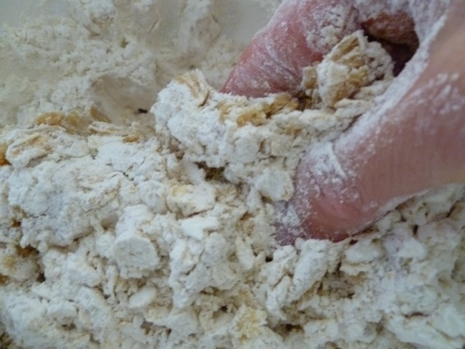 Only From Scratch: Chocolate In-Betweens