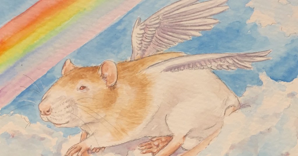 The Art of The Illustrated Rat: Angel Caramel