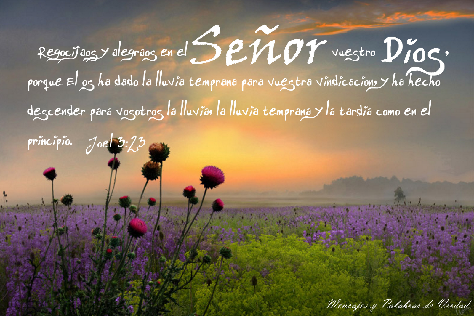 Imágenes Cristianas - Banco de Imagenes: IMÁGENES DE VERSÍCULOS ...